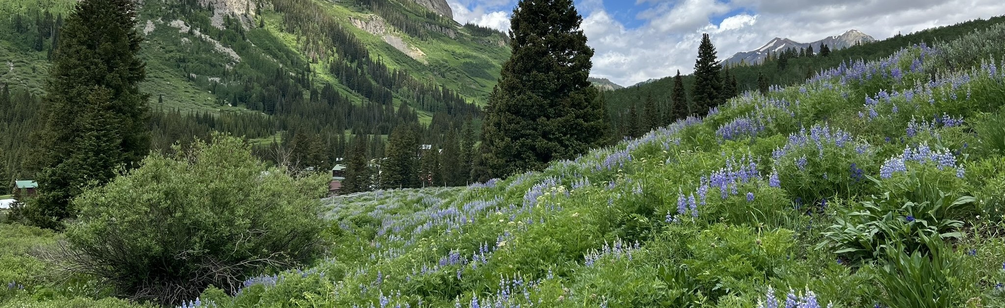 Dylan T Simpson - Quantitative landscape and population ecology